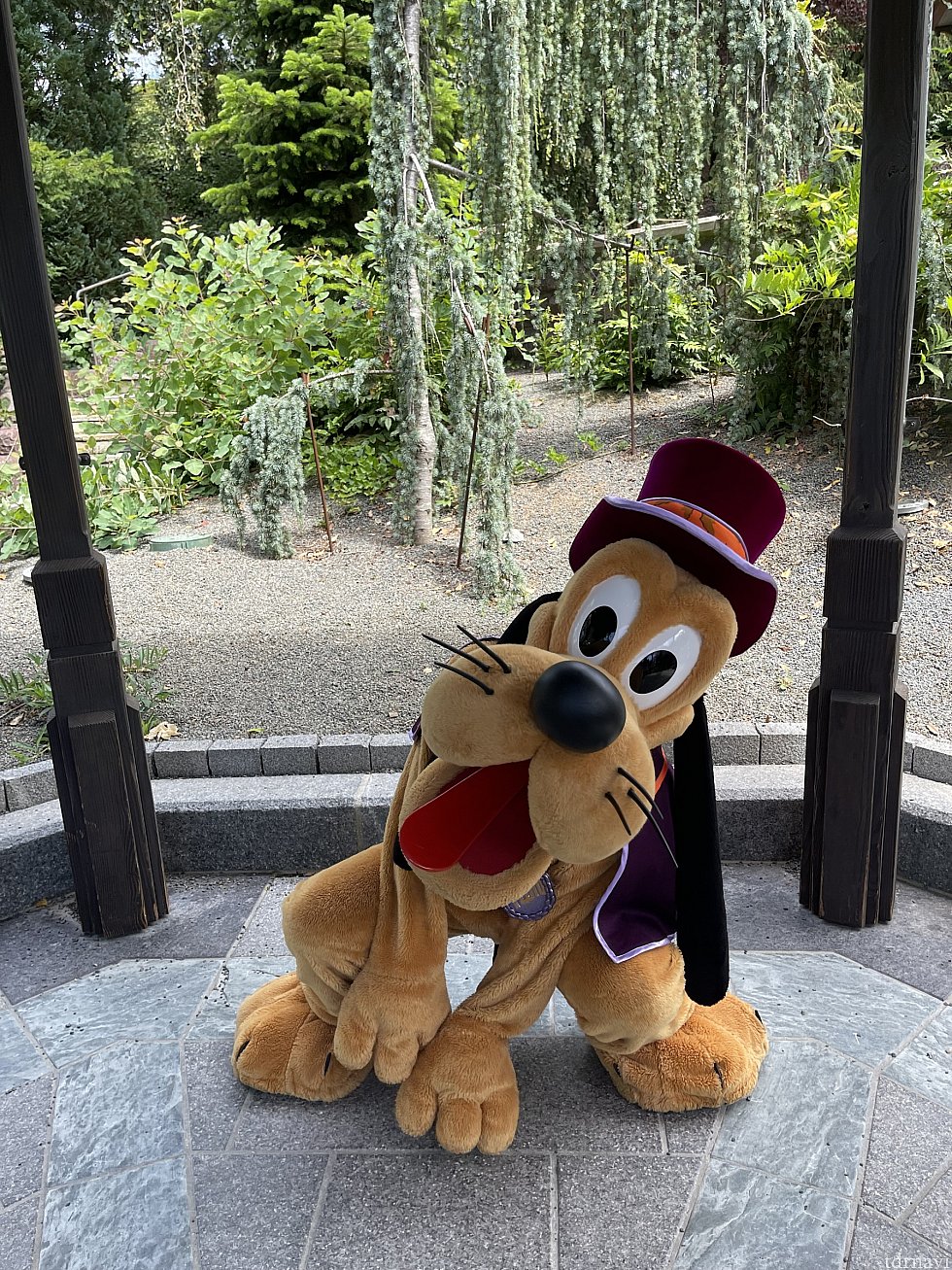 ファントム・マナー横に併設されたグリーティング！【2023年夏版】（パリ）